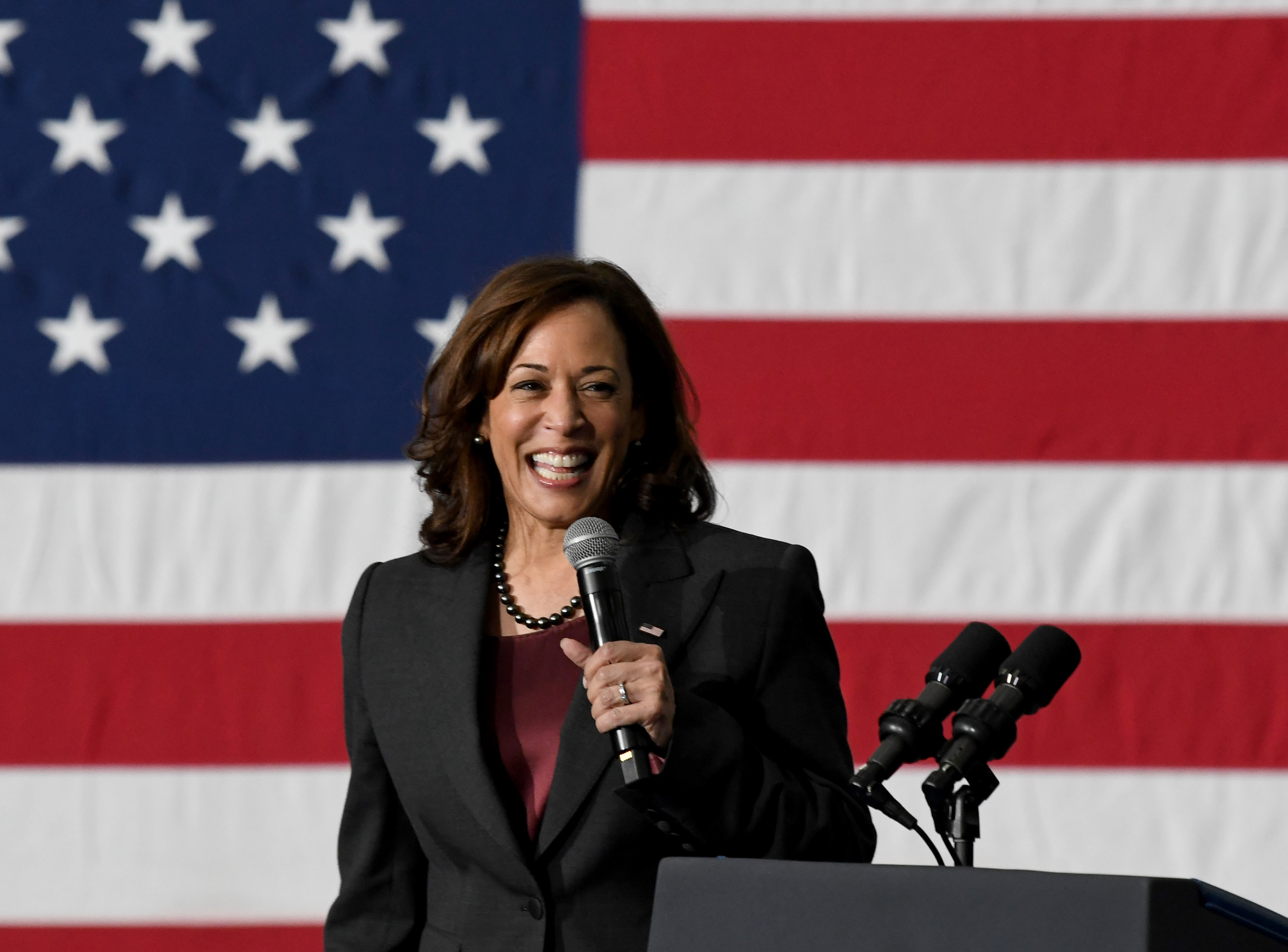 What do coconut trees have to do with Kamala Harris? – NBC Chicago