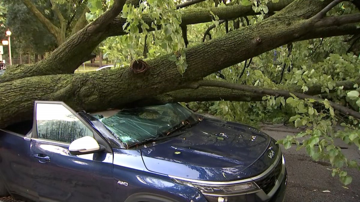 Storm damage cleanup continues in Chicago – NBC Chicago
