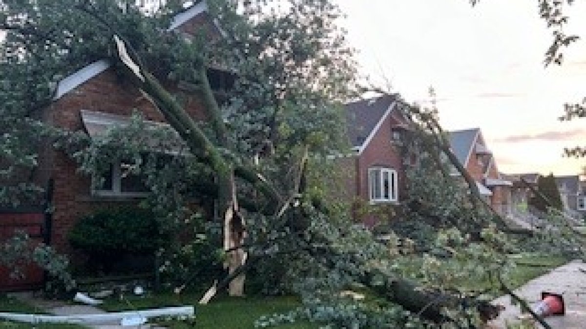 Illinois tornadoes: At least 11 tornadoes struck Illinois, Indian ... Illinois tornadoes: At least 11 tornadoes struck Illinois, Indian ...