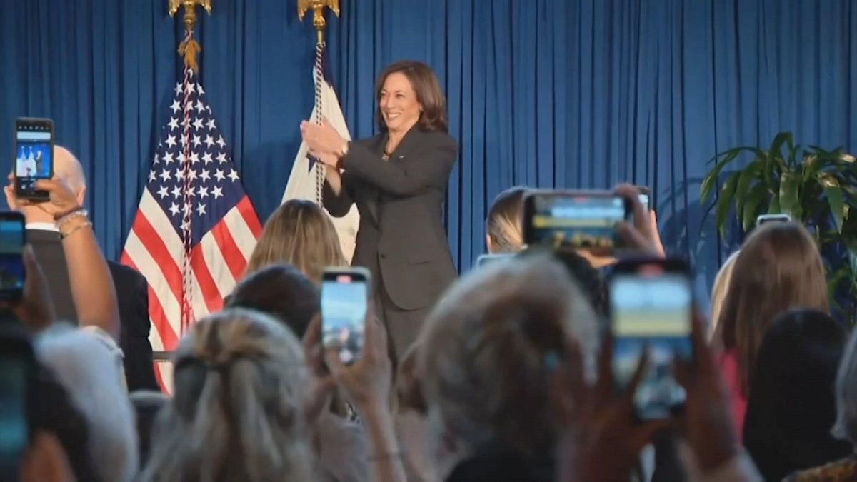 Sorority members in Chicago ‘energized’ to support Harris bid for ...