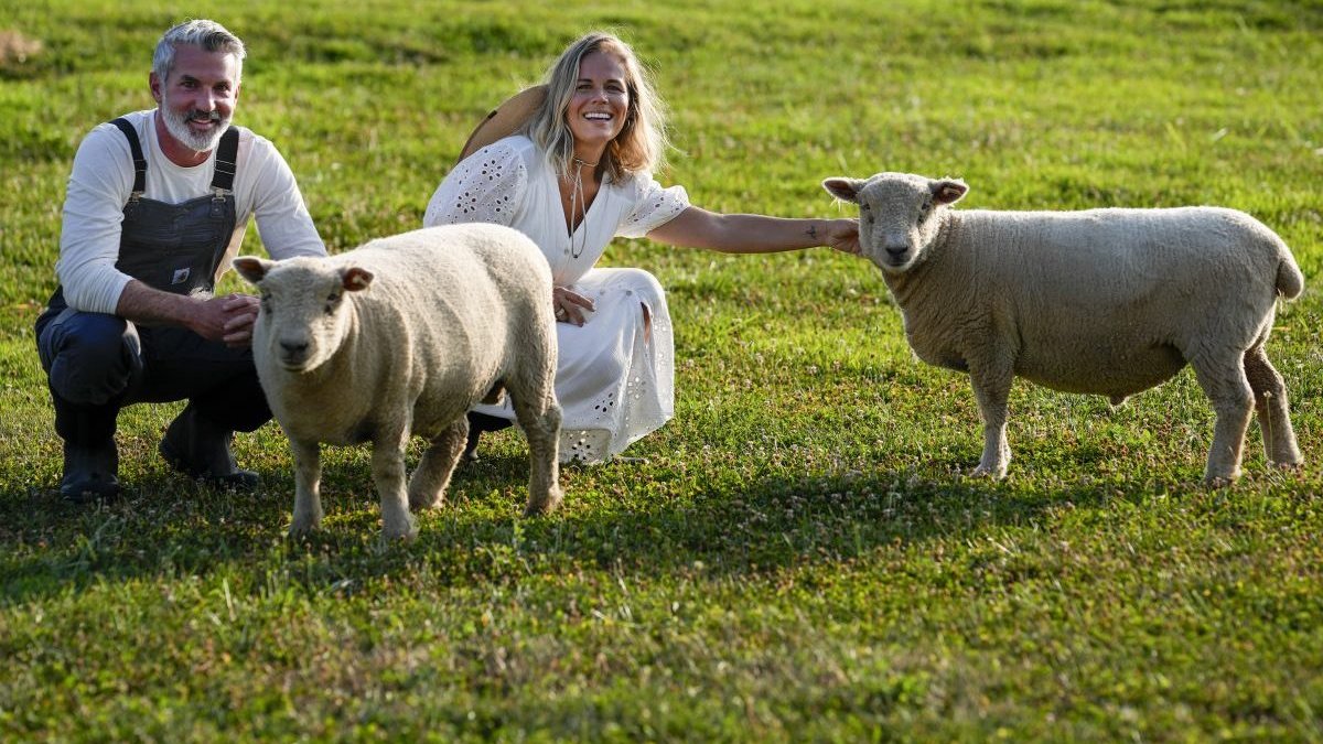 Mini goats for sale: Farm animals as pets is growing trend in US – NBC ...