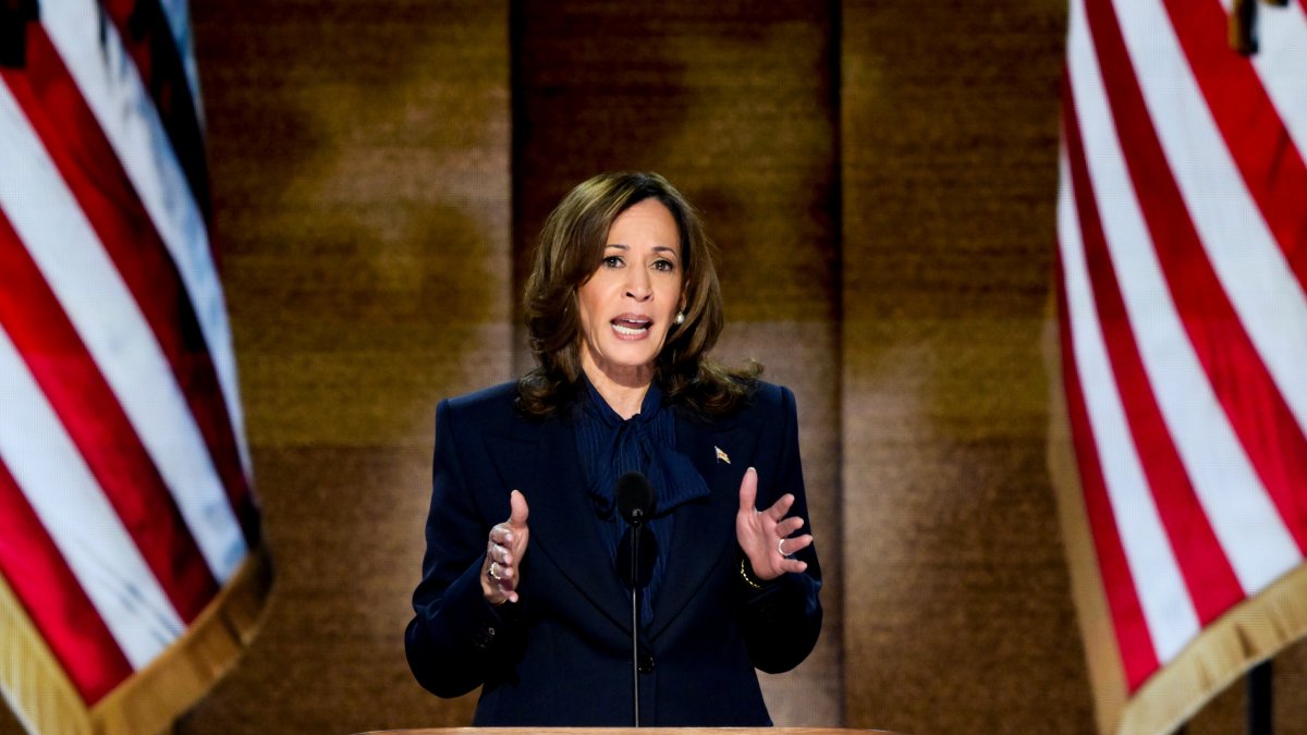 Live updates: Kamala Harris accepts presidential nomination at DNC ...