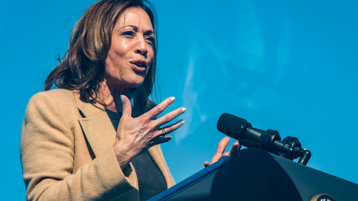 88 corporate leaders endorse Harris in new letter – NBC Chicago