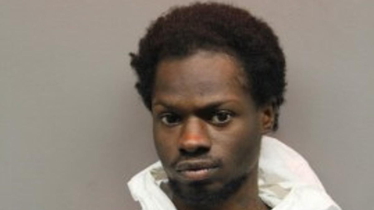Rhanni Davis, Forest Park CTA Blue Line shooting suspect, to appear in ...