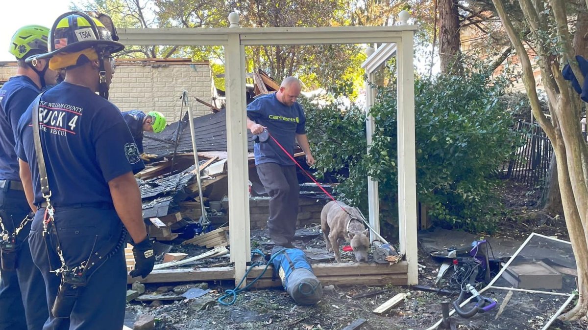 Dog found alive after Virginia home exploded – NBC Chicago