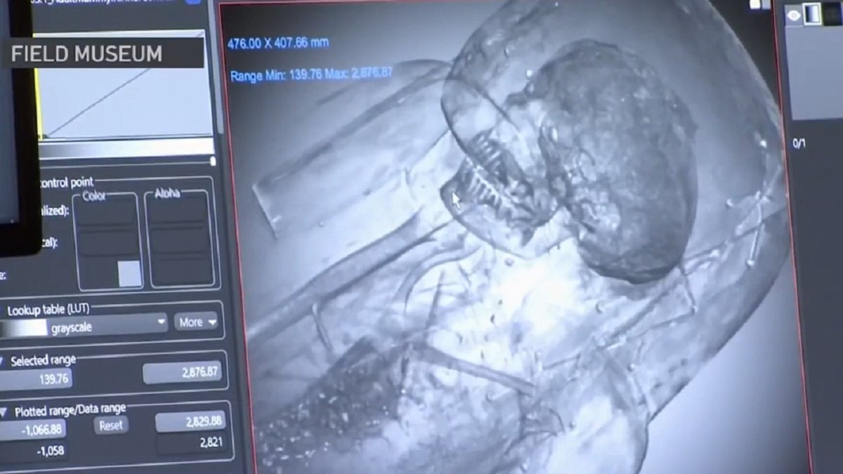 CT scans at Field Museum offer view inside mummy coffins – NBC Chicago