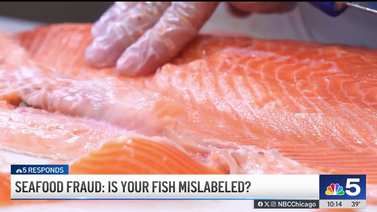 Is your seafood ‘catfishing’ you? Study shows 1 in 5 fish mislabeled ...