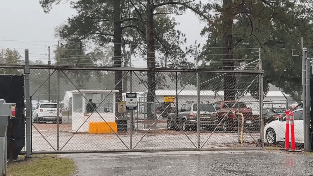 25 monkeys caught in South Carolina, more still missing – NBC Chicago