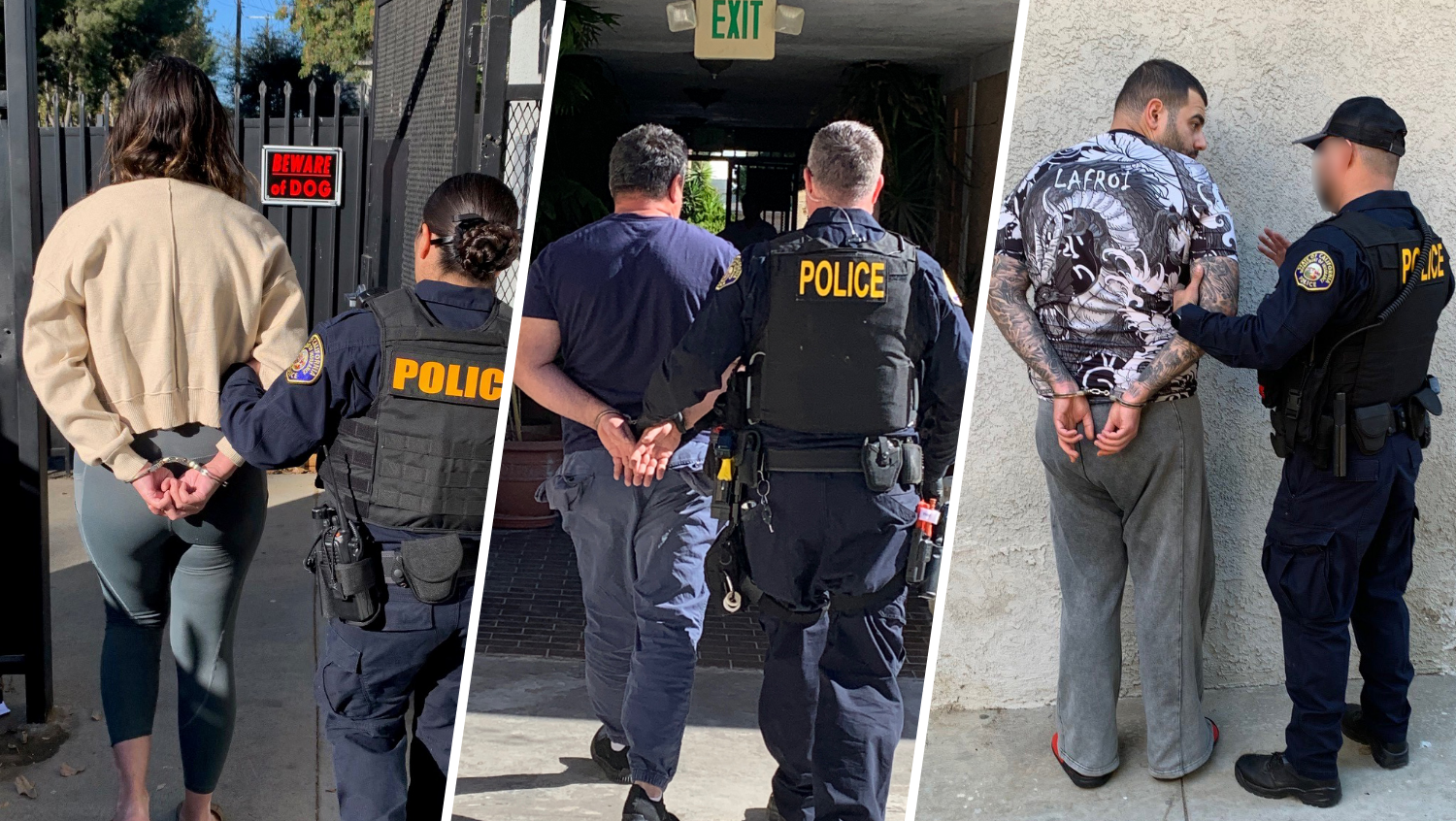 Suspects arrested for faking bear attacks with bear costume – NBC Chicago