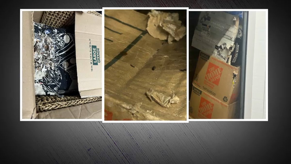 Rodents destroy furniture meant for foster children – NBC Chicago