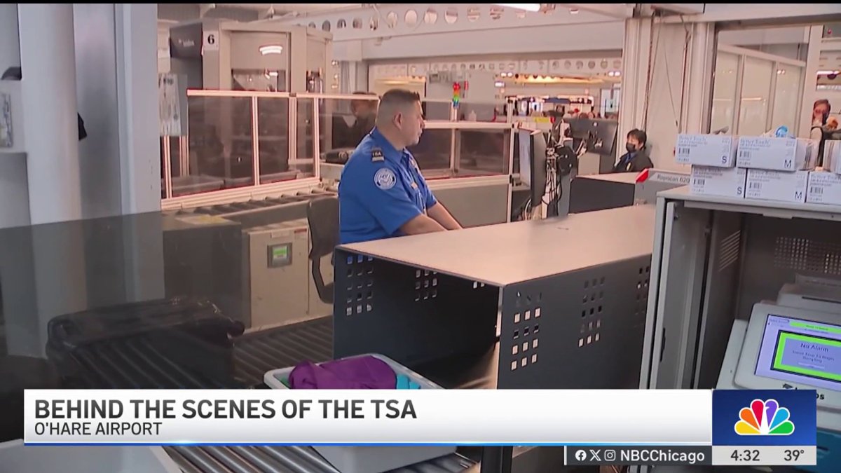 TSA agent looks to spread holiday cheer amid long security lines at ...