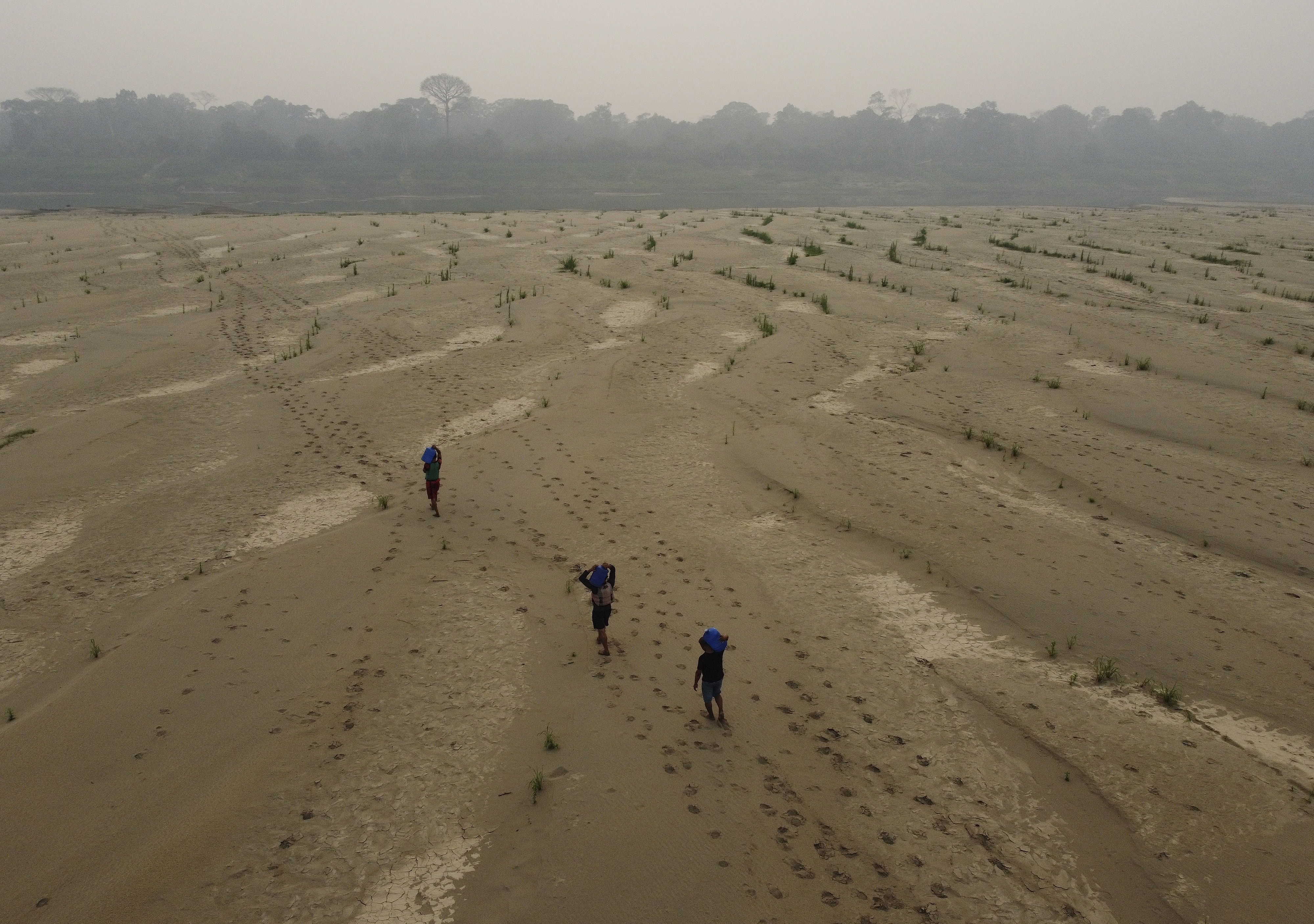 Drought, fires and deforestation battered Amazon rainforest in 2024 ...