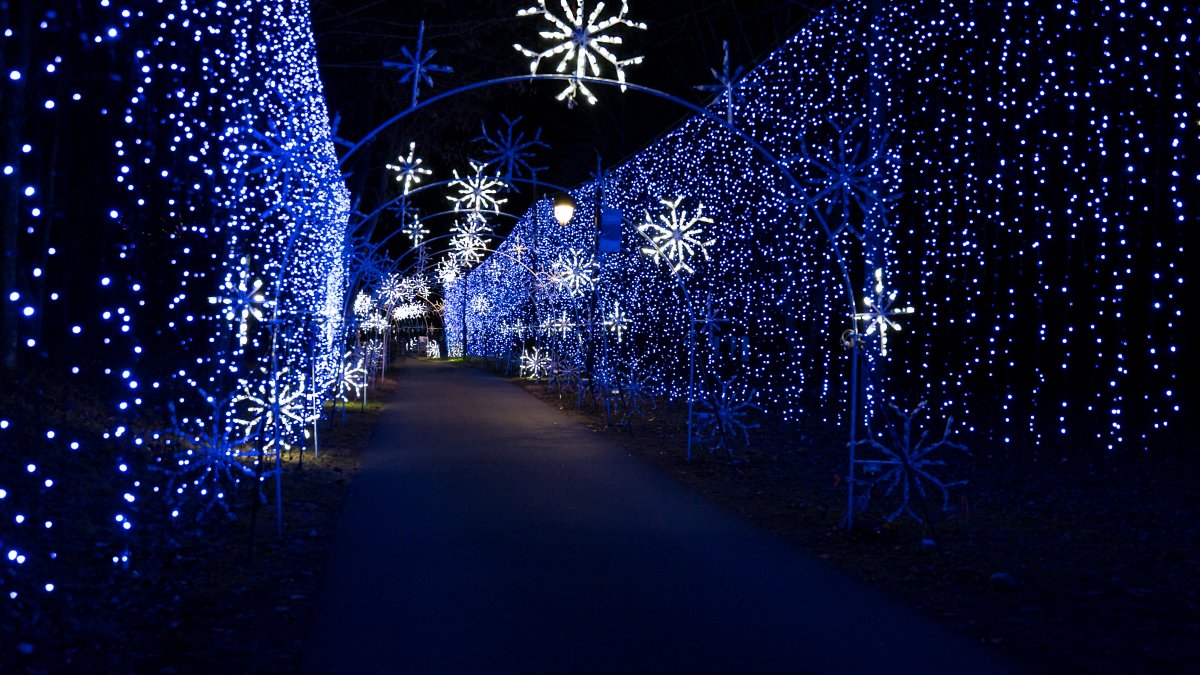 5 drive-through Christmas lights displays in Chicago area – NBC Chicago