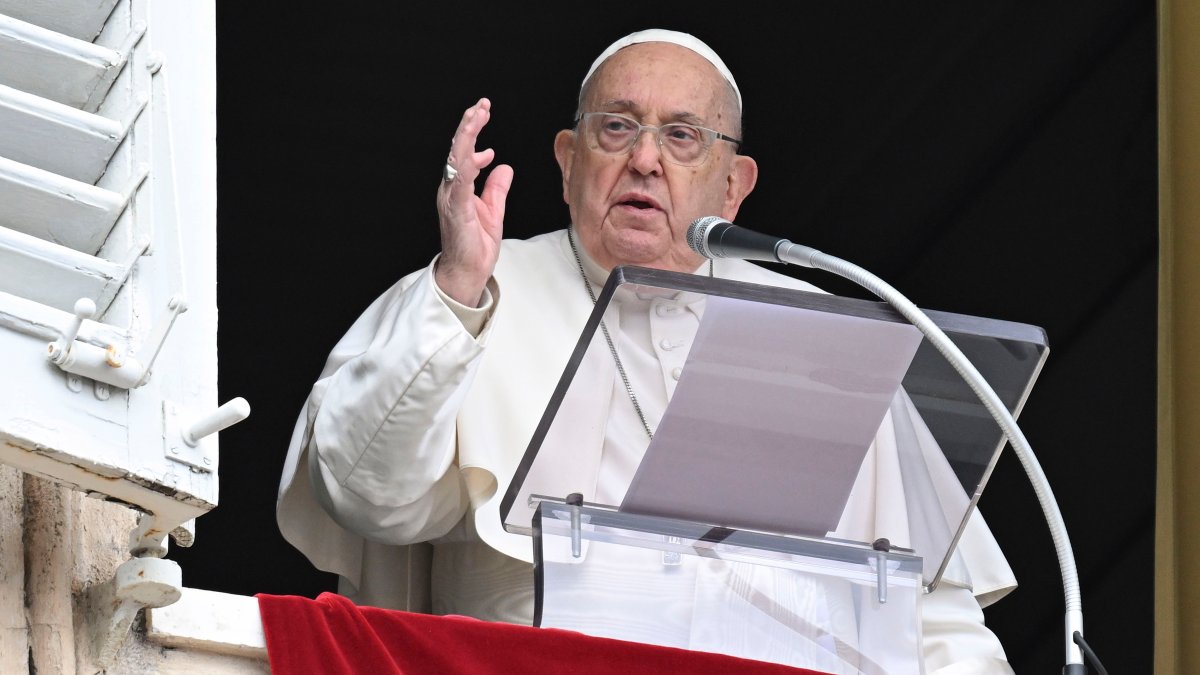 Pope Francis calls Trump’s mass deportation plans ‘a disgrace’ – NBC ...