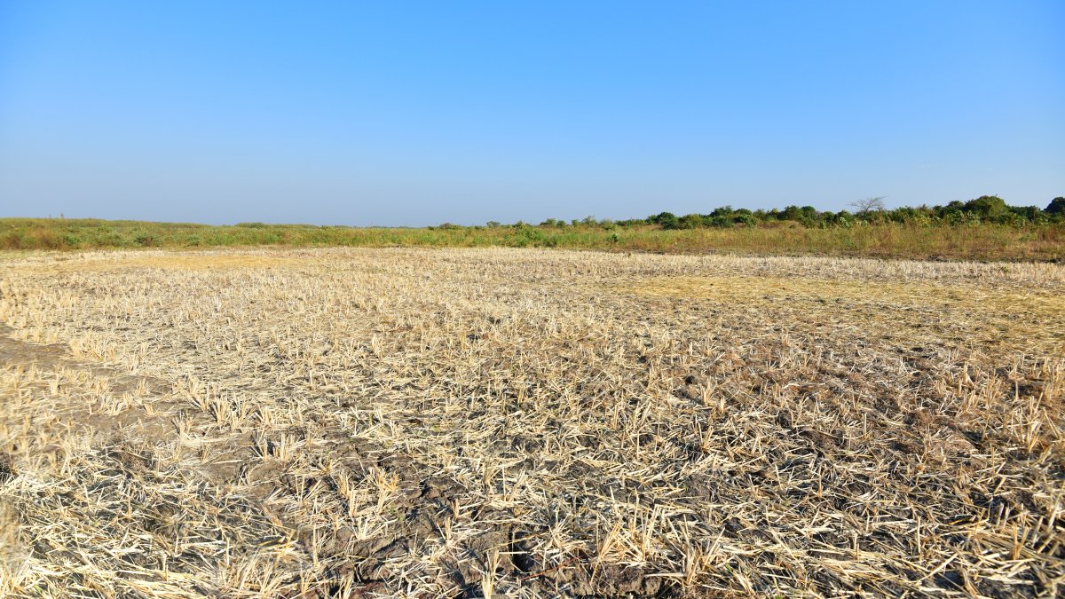 What is a fire weather watch? Why Chicago has a fire weather alert ...