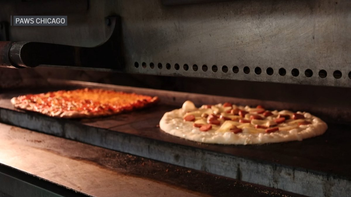 PAWS Chicago teams with chefs for ‘Slice to Meet You’ campaign – NBC ...
