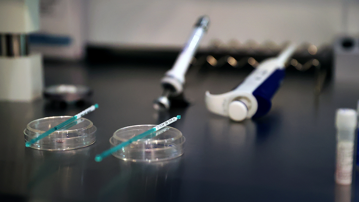 President Trump signs executive order to make IVF more affordable – NBC ...