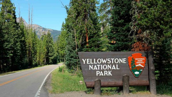 Bear attacks Yellowstone hiker – NBC Chicago
