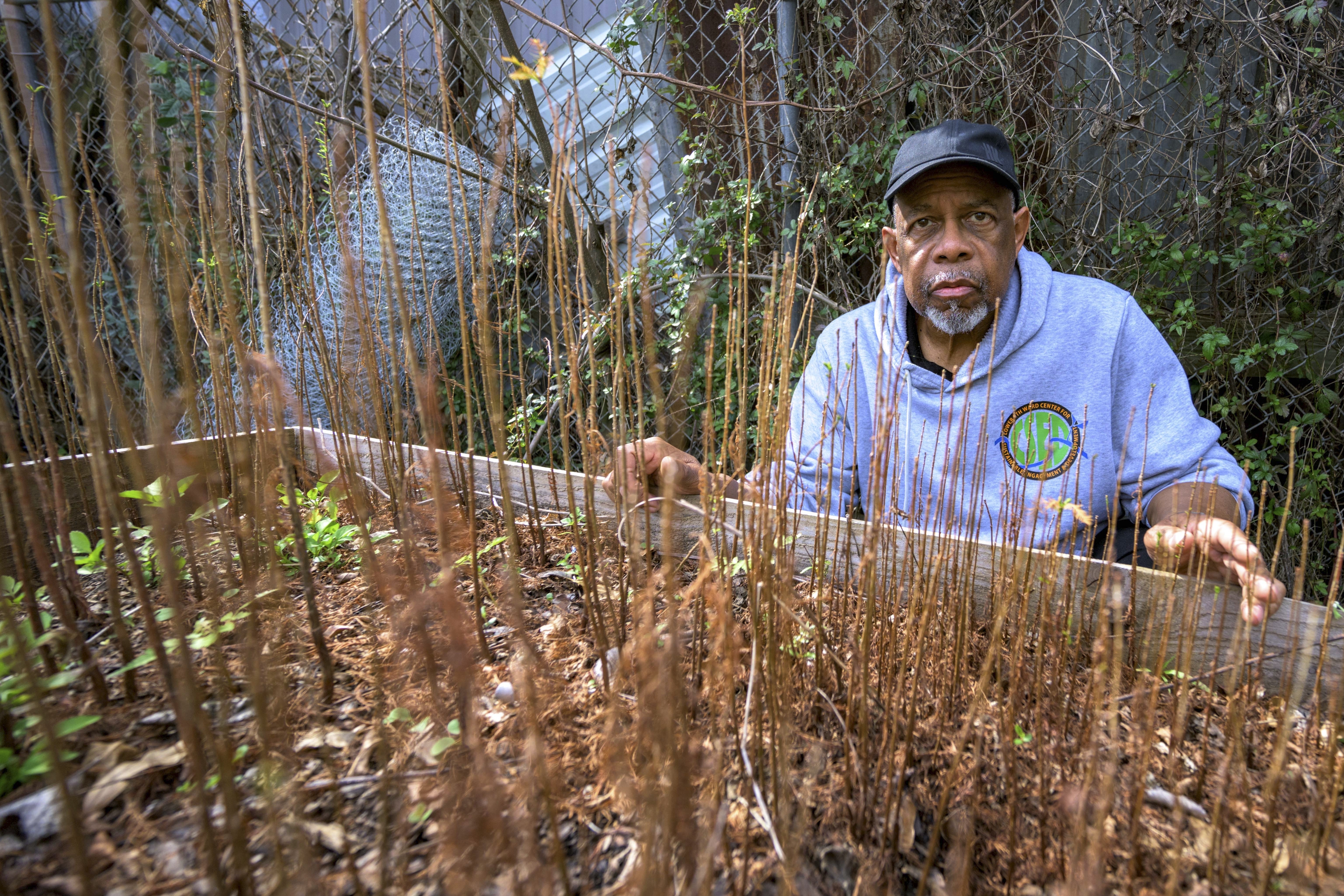 Anti-DEI push ends effort to plant trees in places that need them – NBC ...