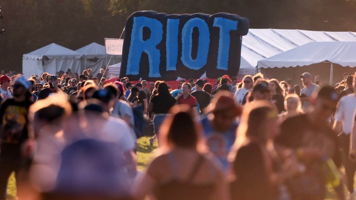 Riot Fest’s 2025 lineup announced: Green Day, Blink-182 and more – NBC ...