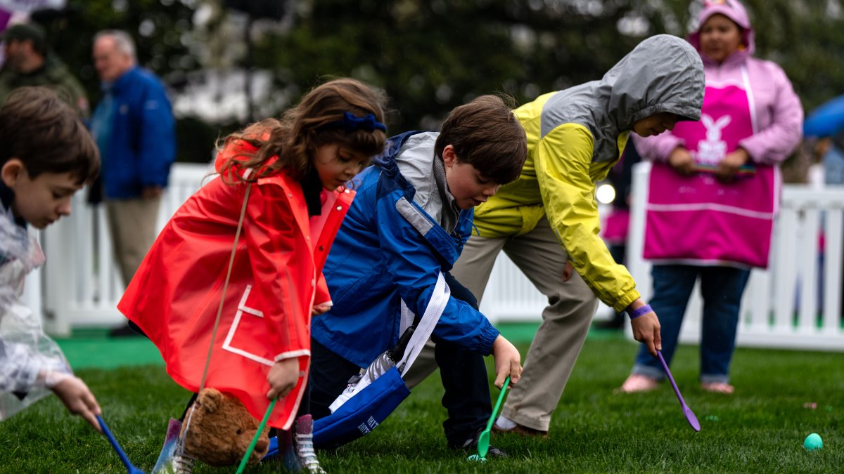 White House plans to use real eggs for Easter Egg Roll – NBC Chicago