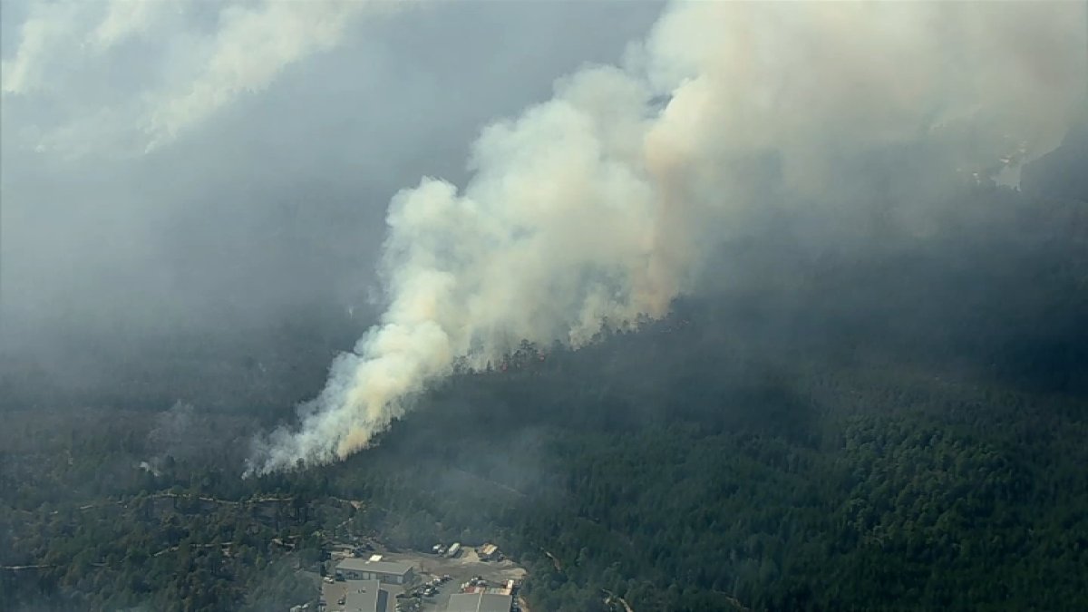 Live updates: Massive wildfire burns through Ocean County, NJ – NBC Chicago