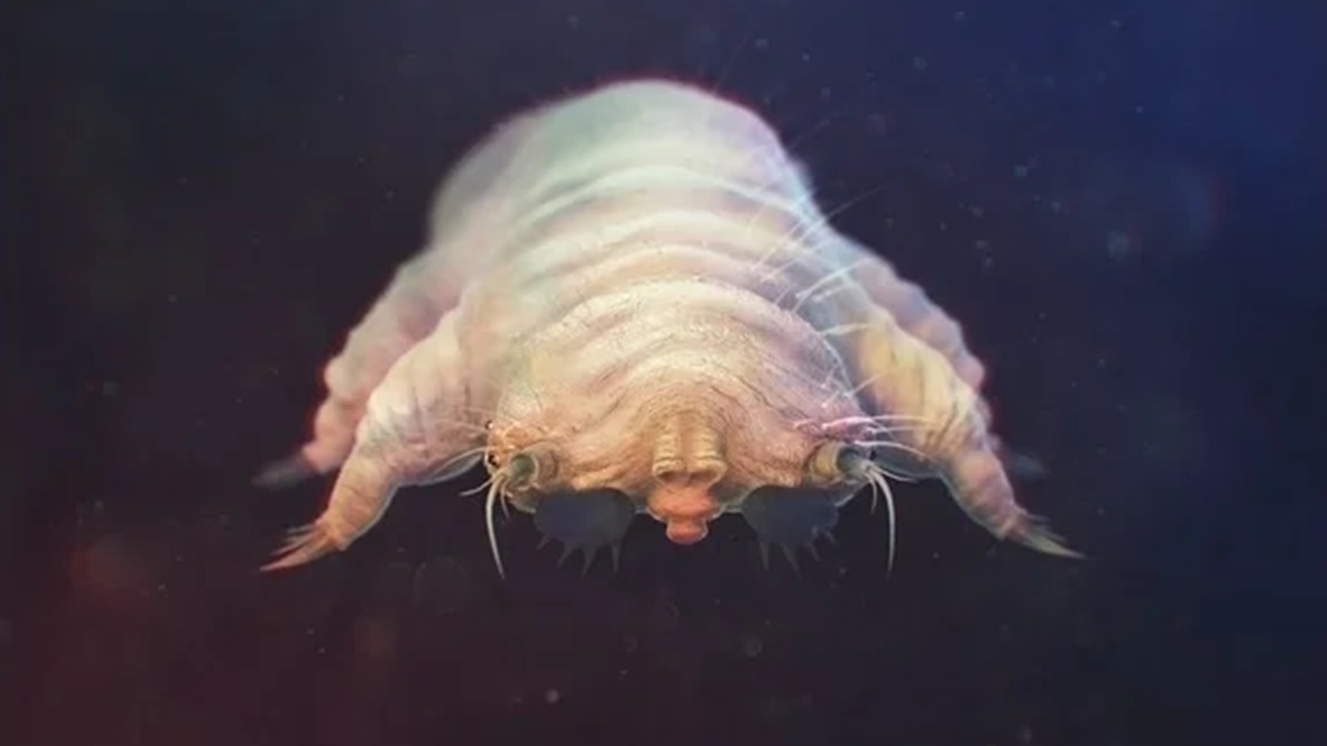 Eye mites or allergies? The differences and what you can do – NBC Chicago