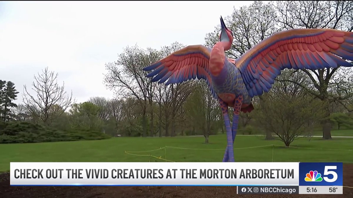 New ‘Vivid Creatures’ at Morton Arboretum offers view of Illinois ...