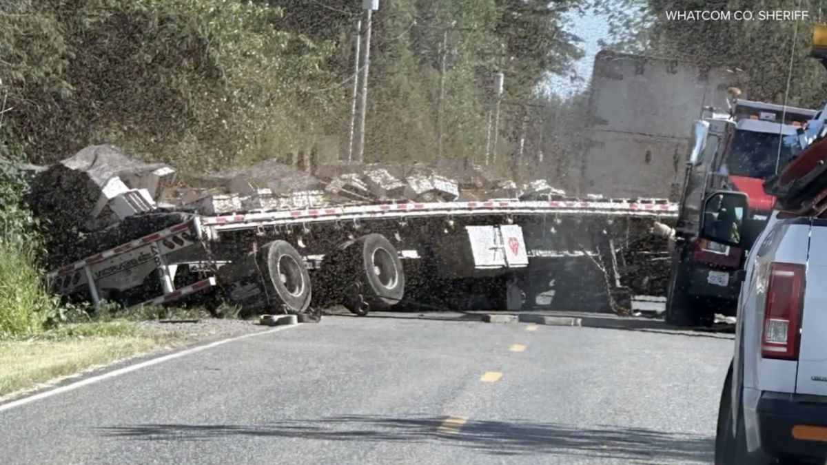 Volunteer beekeepers swarm to rescue spilled hives after crash – NBC ...