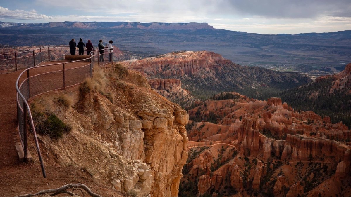 Cat survives nearly 400-foot fall at Utah national park – NBC Chicago
