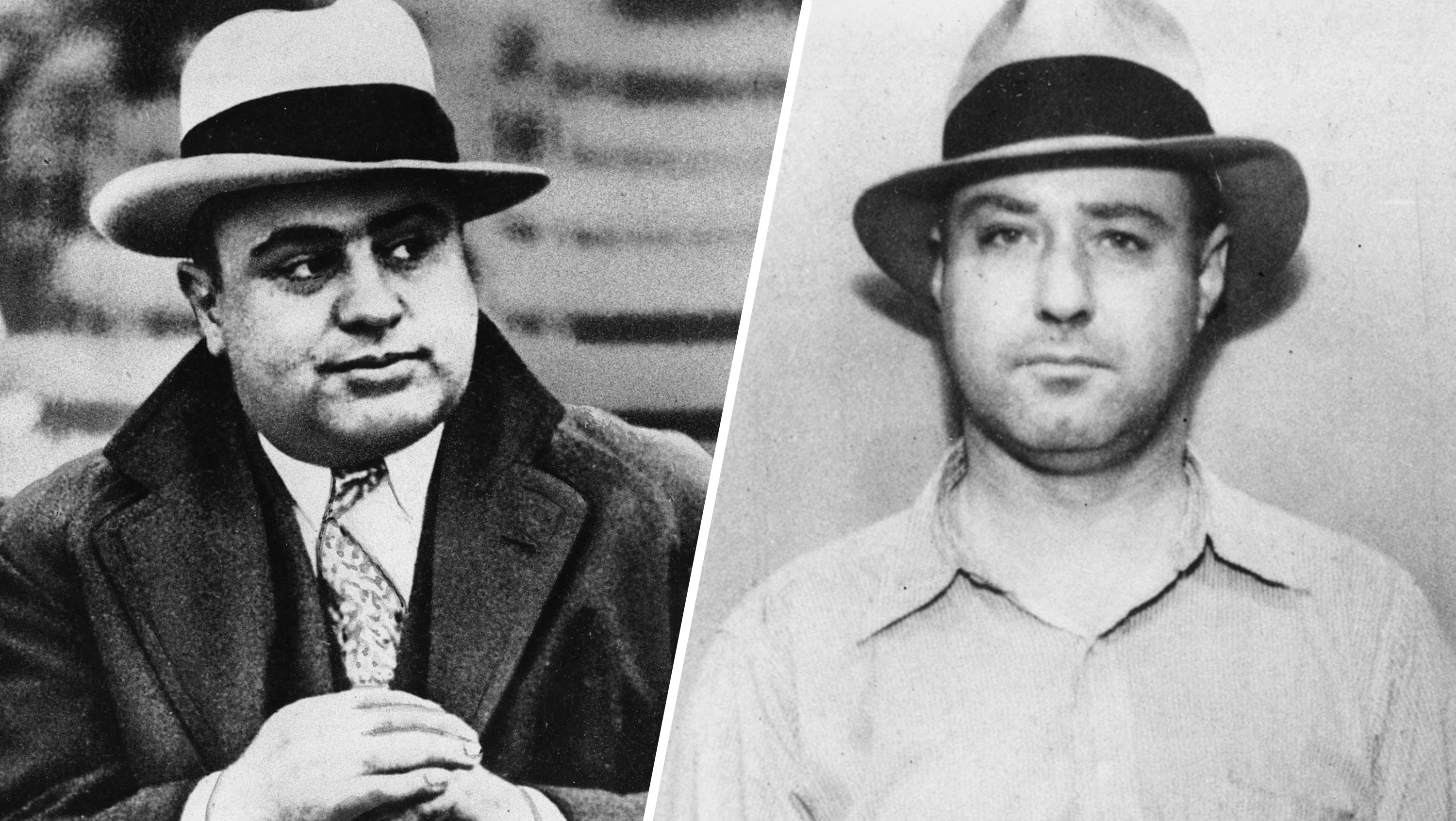 Everything to know about Alcatraz in California – NBC Chicago