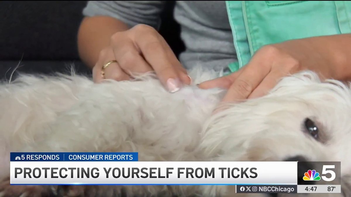 With summer underway, here are tips to protect from ticks – NBC Chicago