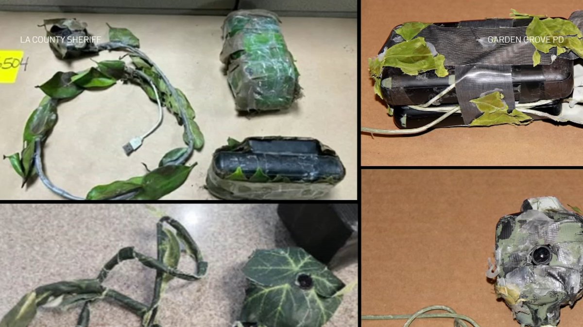 Feds use hidden cameras disguised as plants in suburban drug sting ...