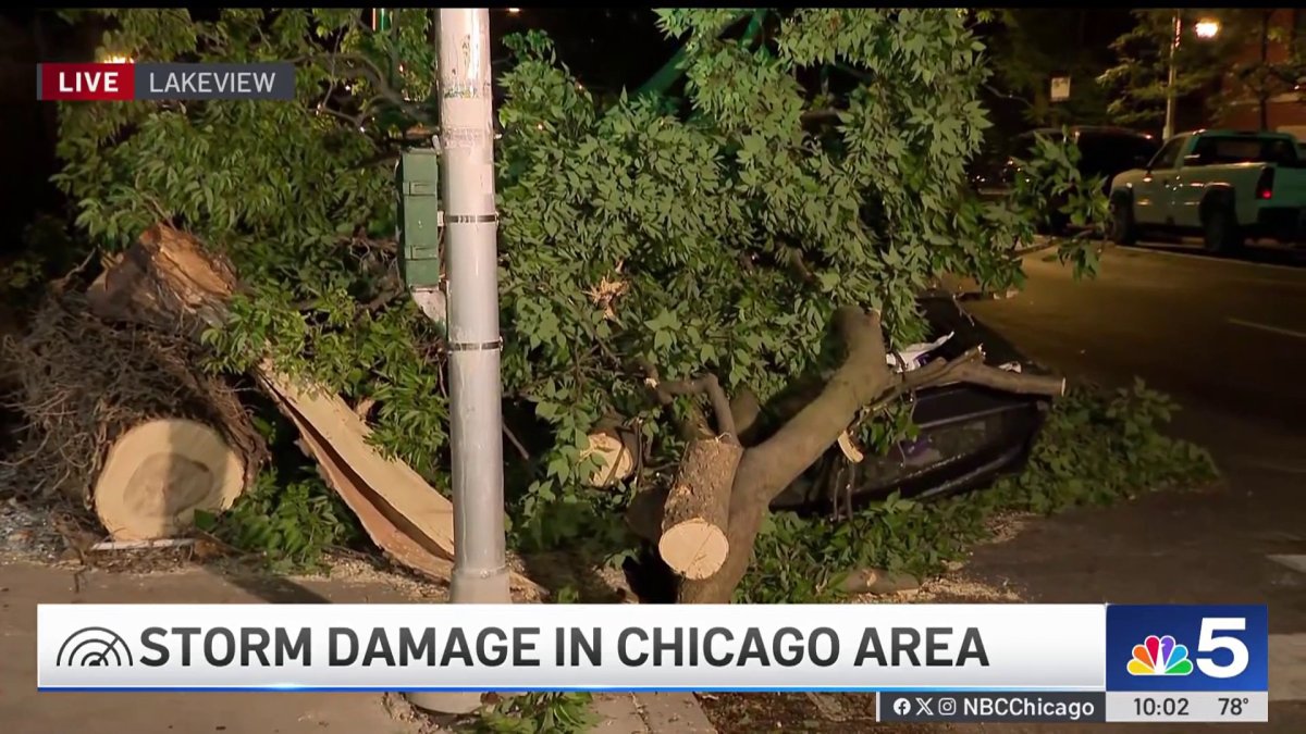Storms, winds leave behind damage across Chicago area – NBC Chicago