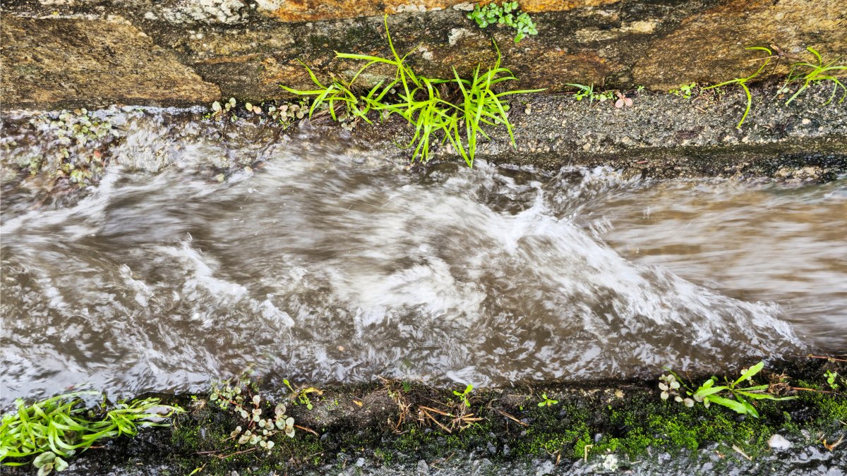 Man swept into drain pipe during storm survives harrowing ordeal – NBC ...