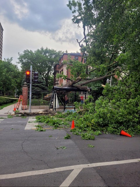 Strong winds, thunderstorms leave behind damage across Chicago area ...