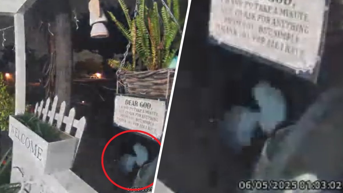 Woman’s Ring camera captures alien-like creature outside home – NBC Chicago