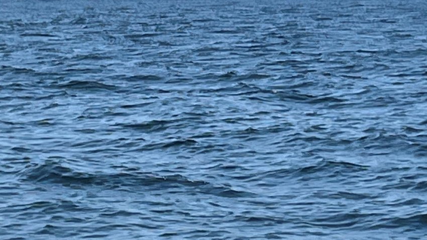 Person pulled from body of water on Chicago’s Far North Side – NBC Chicago