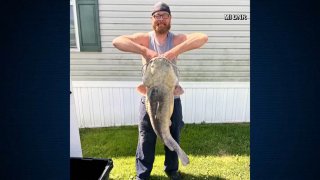 flathead catfish record weight