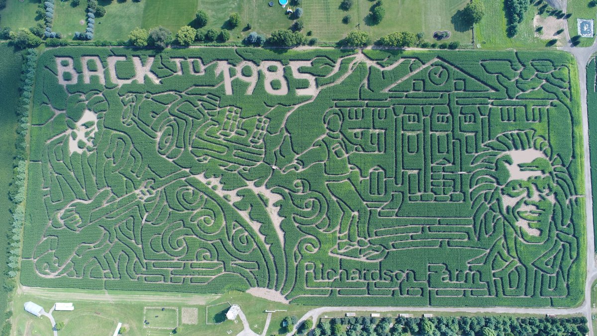 Chicago farm releases 2025 ‘Back to the Future’ corn maze design – NBC ...