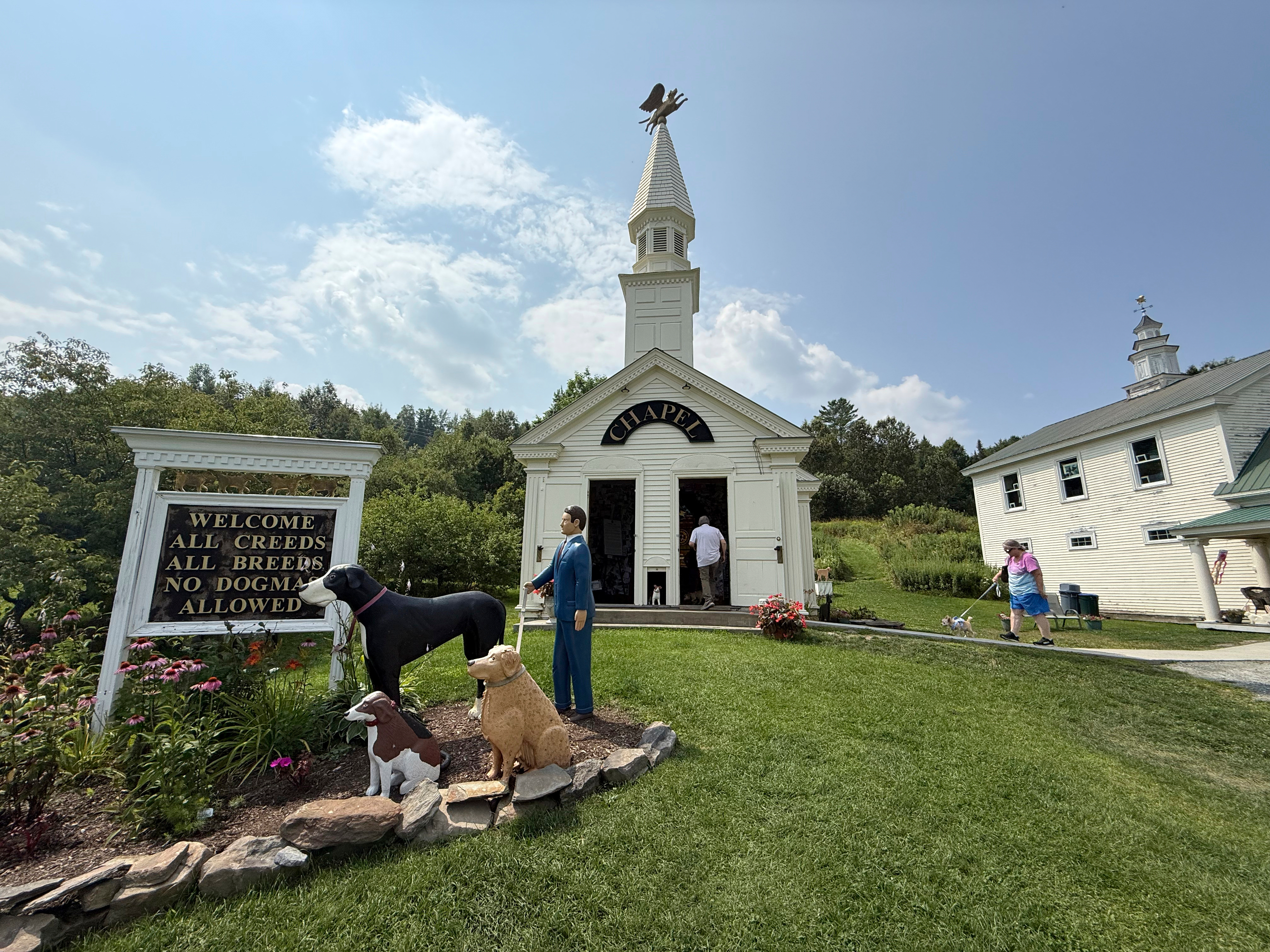 What to know about Dog Mountain in St. Johnsbury, Vt. – NBC Chicago