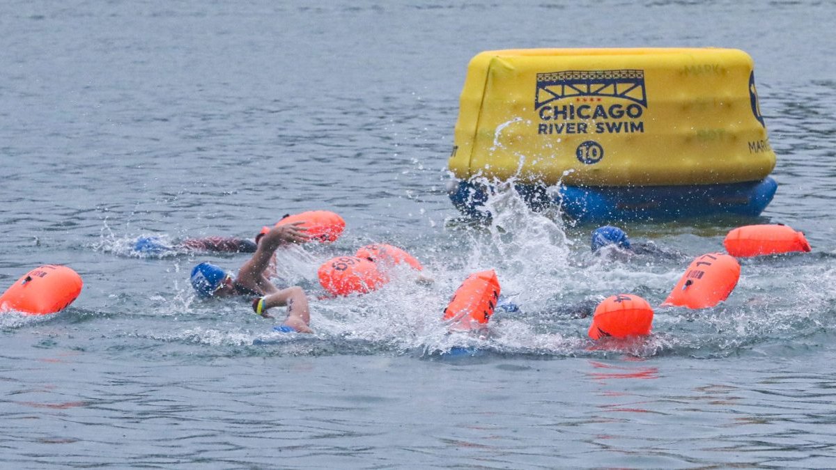 Chicago River Swim approved by city for fall 2025 – NBC Chicago