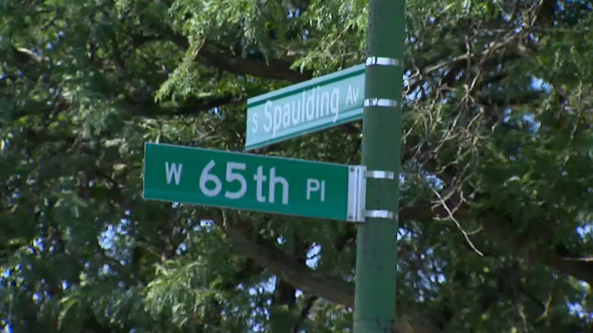26 dogs removed from Chicago Lawn home – NBC Chicago