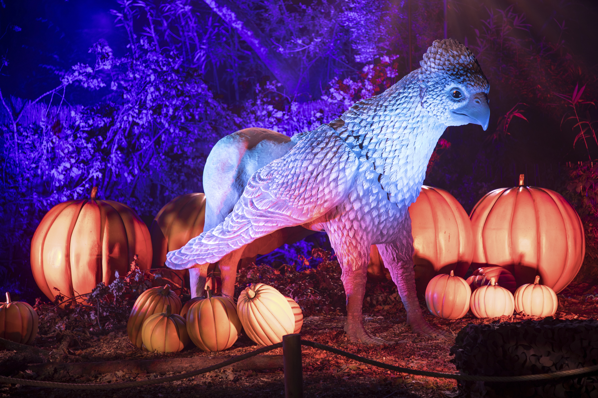Harry Potter ‘Forbidden Forest’ opens in Ingleside – NBC Chicago