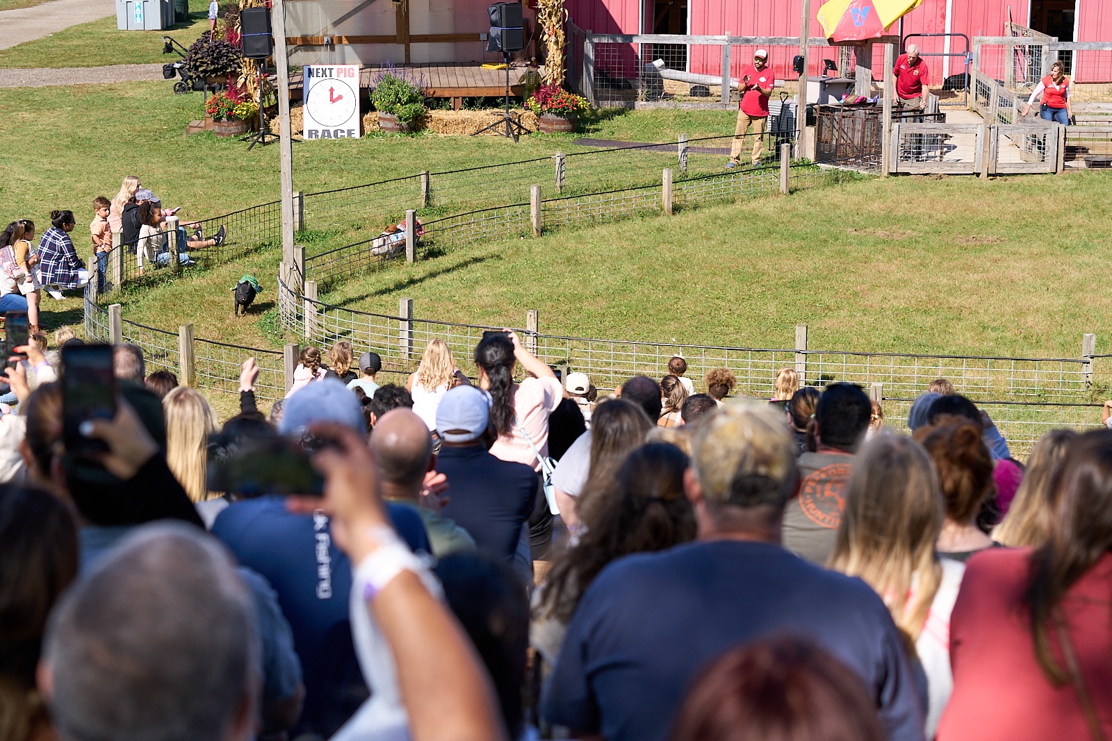 Chicago farm releases 2025 ‘Back to the Future’ corn maze design – NBC ...