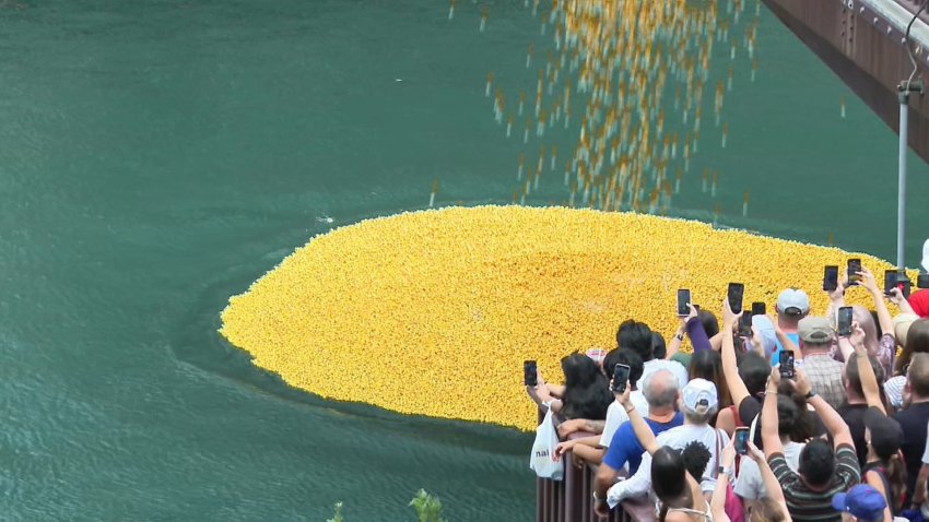 Ducky Derby Chicago: Hundreds of thousands raised for charity – NBC Chicago
