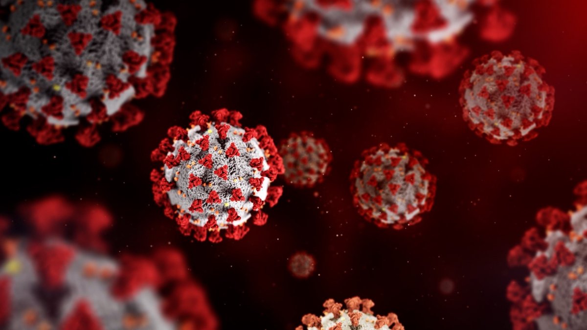 What is the XFG COVID-19 variant known as ‘Stratus’? – NBC Chicago