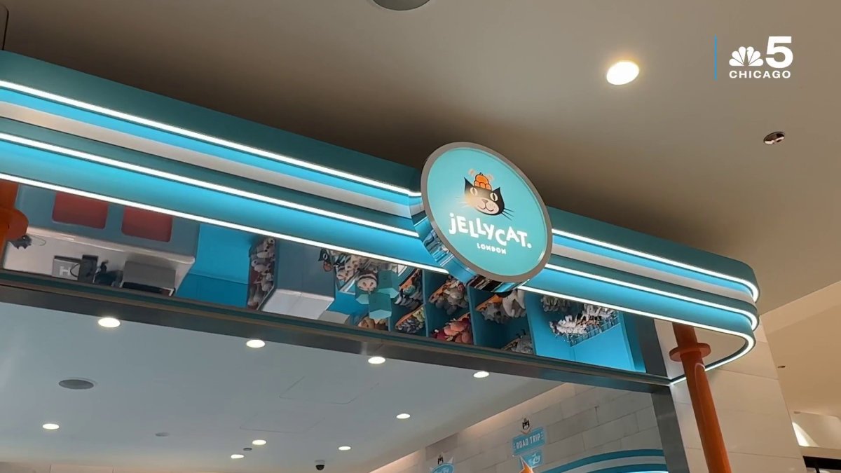 Take a look inside the new Jellycat store in downtown Chicago – NBC Chicago