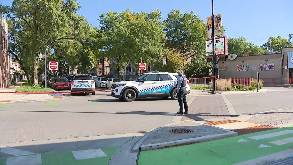 Suspect fatally shot by Chicago police after pinning officer with ...