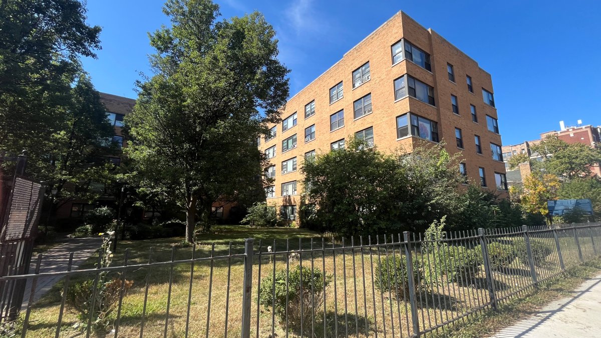 U.S. citizens temporarily detained in South Shore immigration operation ...